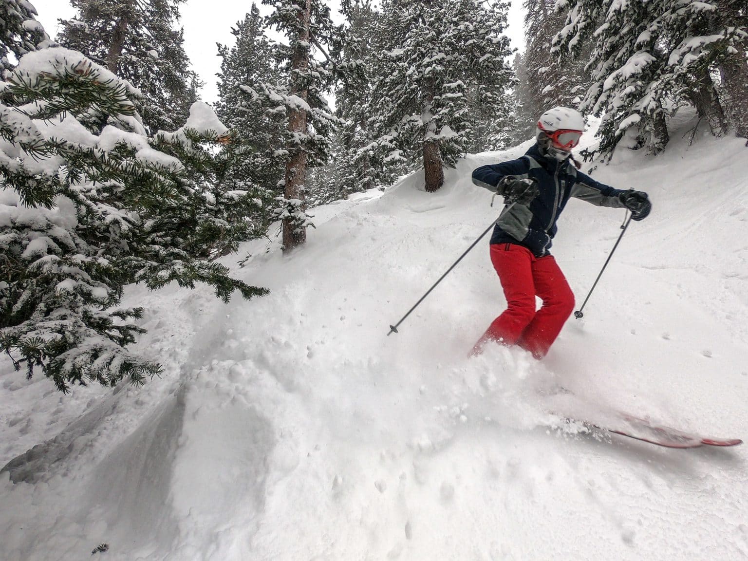 The Ultimate Guide to Cat Skiing - Skiing Kids