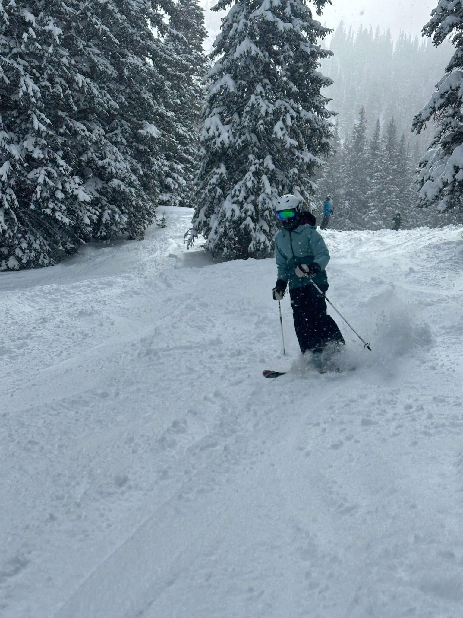 Is Carv 2 Better Than Ski School? A Ski Instructor’s Honest Review ...