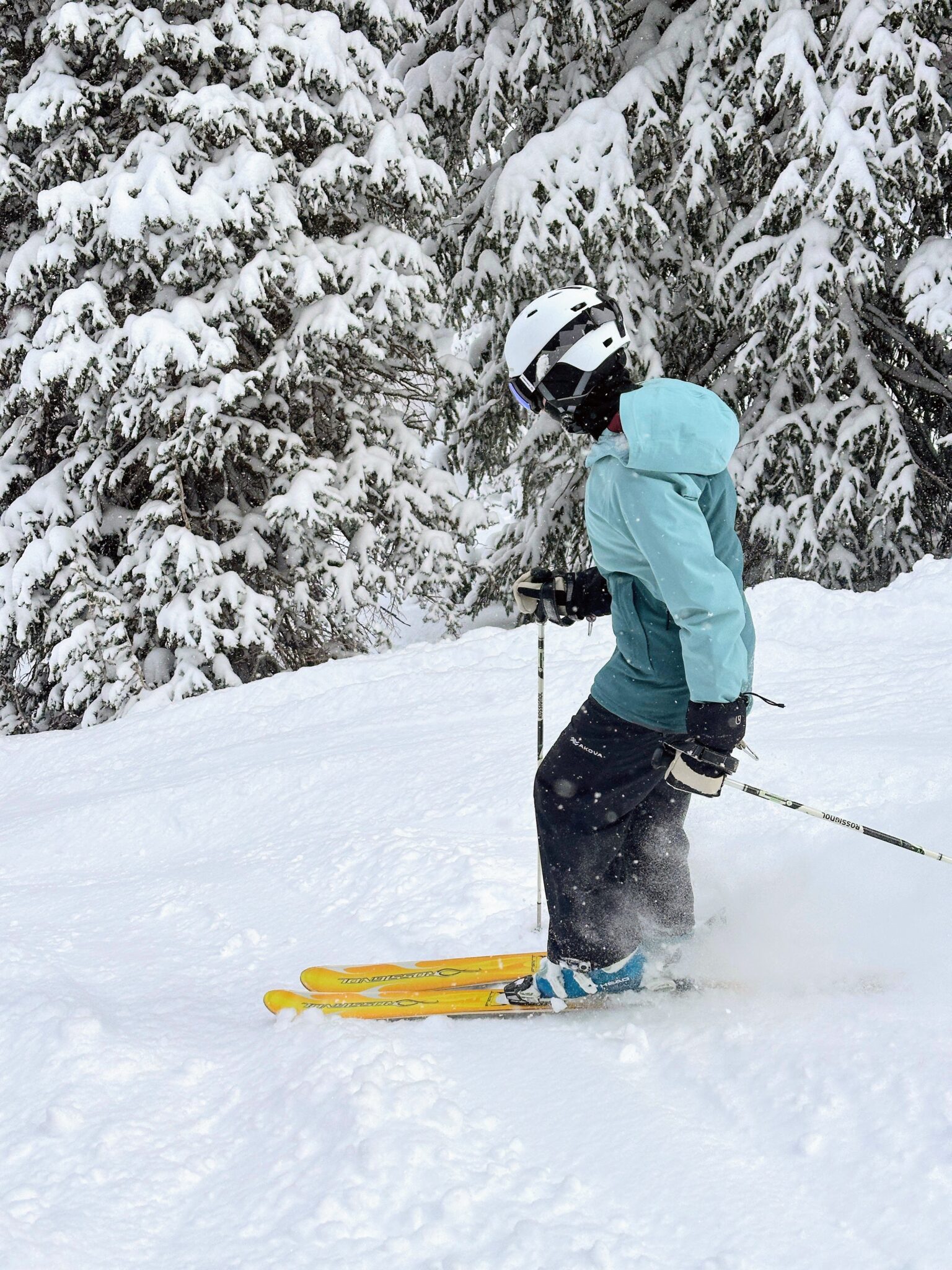 Is Carv 2 Better Than Ski School? A Ski Instructor’s Honest Review ...